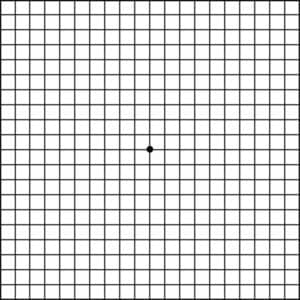 Free Amsler Grid from The American Macular Degeneration Foundation