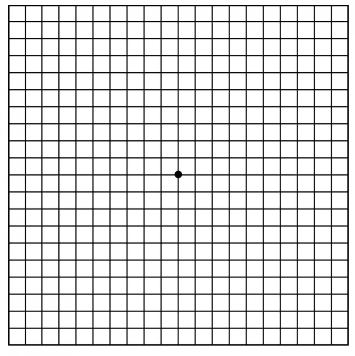 Diagnosing Age-related Macular Degeneration - AMDF