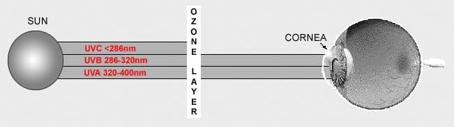 Ultra-violet and Blue Light Worsen Macular Degeneration - AMDF